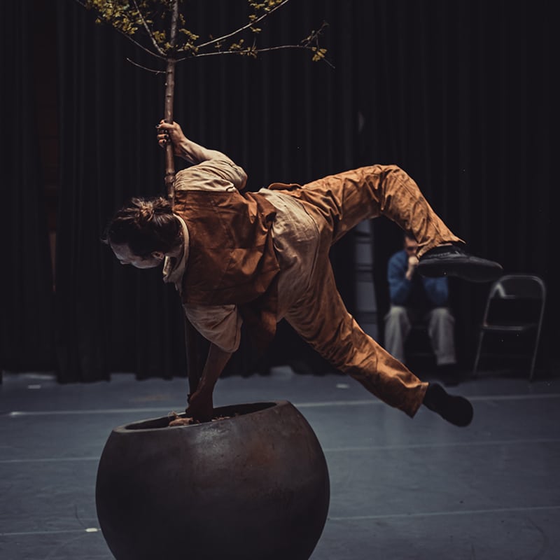 Samuel Rhyner - Festival Circolo